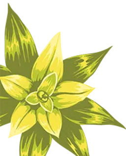 Aztec Island Adventure Golf